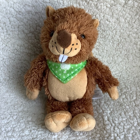 Kinder | Toys | Kinder Surprise Beaver Plush Stuffed Animal Toy Green ...